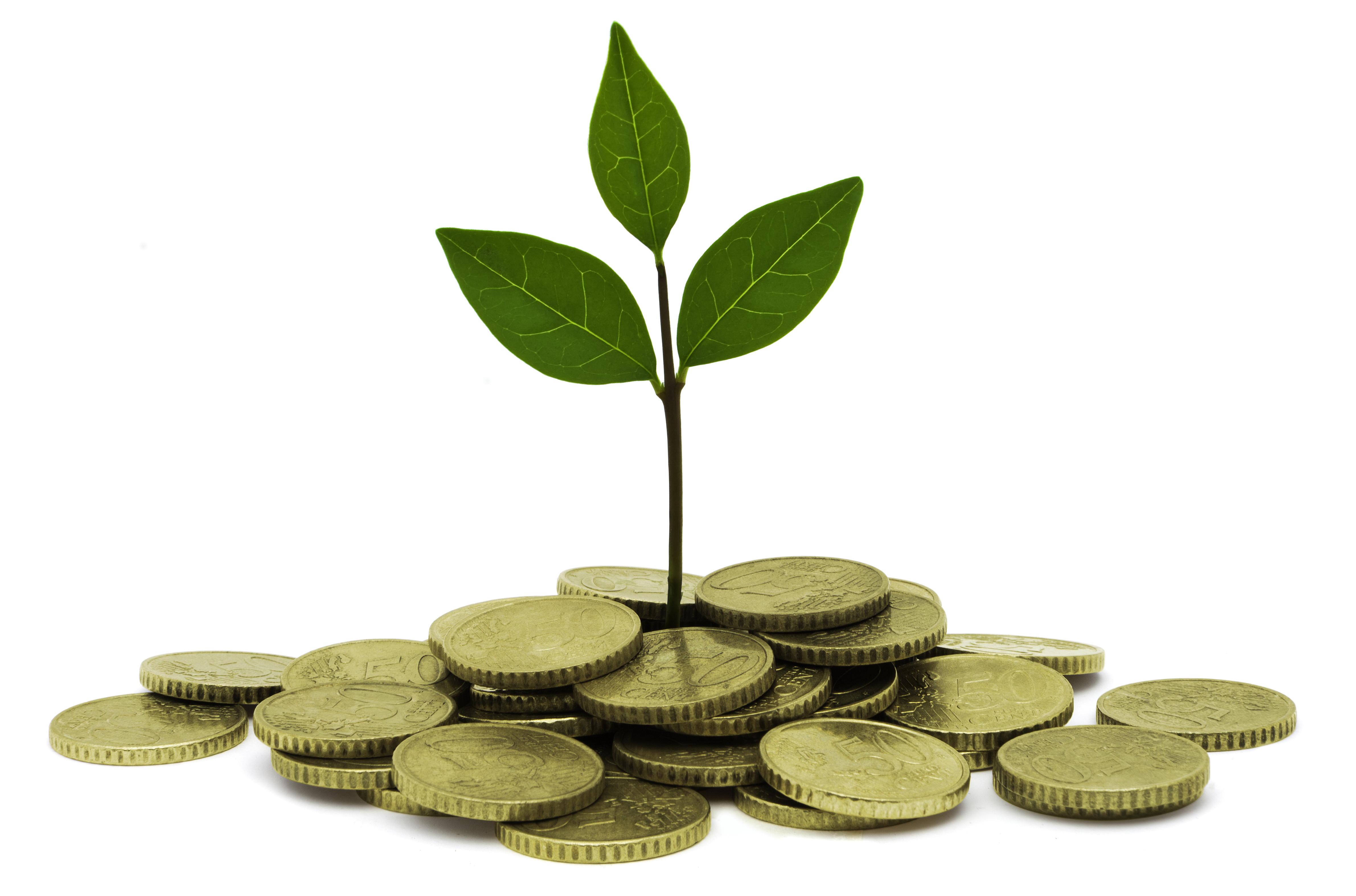 Founders’ Guide: 7 Tips for Raising your Seed Round from Angel ...